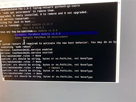 Cant Install Puredata Module Patchbox Os Blokas Community