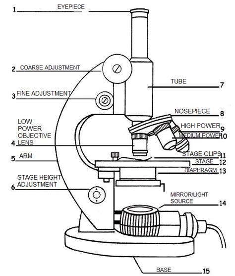 Student Science Microscope Drawing Sheet