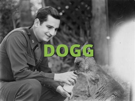 Dogg Meaning