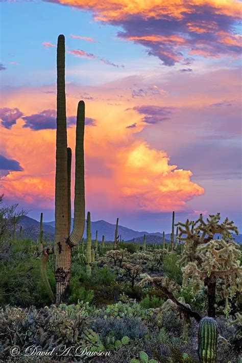 American Southwest Beautiful Landscapes Scenery Pictures Arizona