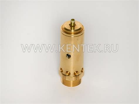 Предохранительный клапан 1" 12 бар VMC 220.0945 VMC : купить по ...