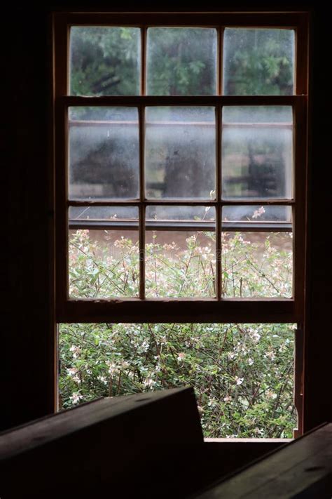 White Flowers Beyond Wood Schoolhouse Student Desks And Open Window