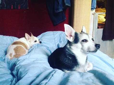 Morning Moments Album On Imgur