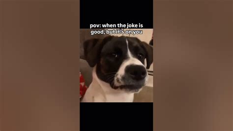 But Its On You 😂 The Reactify Funnyshorts Youtube