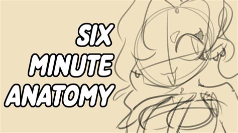 How To Draw Simple Anatomy In 6 Minutes Youtube