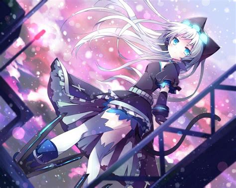 Los Tipos De Nekos Neko Amino