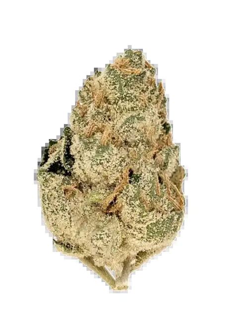 Grease Monkey Cannabis Strain Information Growdiaries