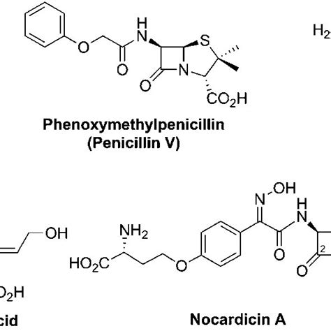 Examples Of Semisynthetic Penicillins A And Cephalosporins B Download Scientific Diagram