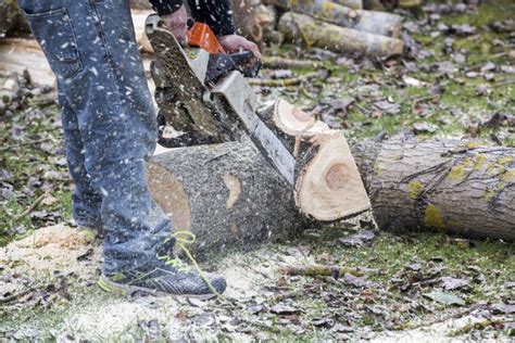 Man With Chainsaw Cutting The Tree Stock Photo Image Of Construction Pine 86029062