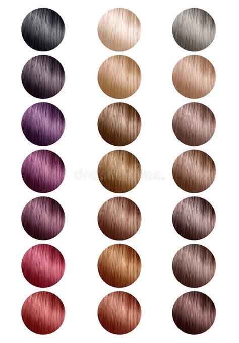 Color Chart For Hair Dye Tints Hair Color Palette With A Range Of