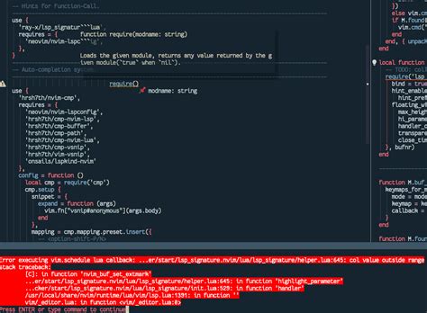 `error Executing Vimschedule Lua Callback Erstartlspsignature