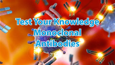 Test Your Knowledge Monoclonal Antibodies Youtube