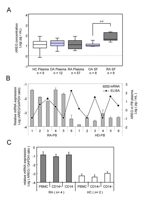 Amphiregulin Expression In Peripheral Blood And Synovial Fluid Samples