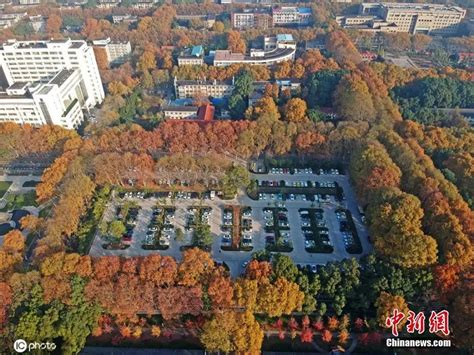 在武汉找“华中大”，你能找到仨