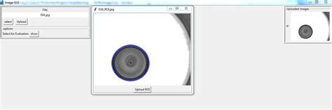 How To Extract Only Circular Roi Portion Of The Image And Show Radius