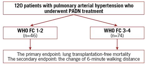 Long Term Mortality After Pulmonary Artery Denervation Stratified By