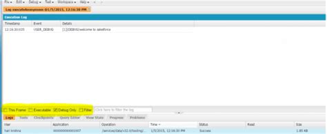 Using Or Executing Code In Developer Console In Salesforce