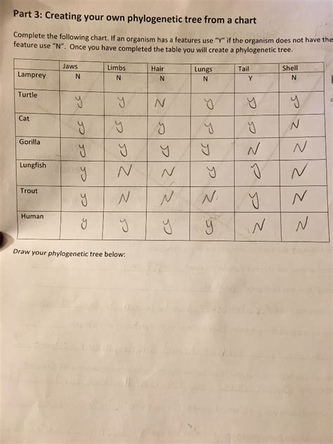 Solved Part 3 Creating Your Own Phylogenetic Tree From A Chegg