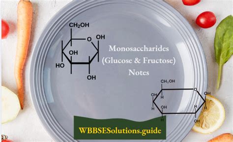Monosaccharides Glucose And Fructose Notes Wbbse Solutions