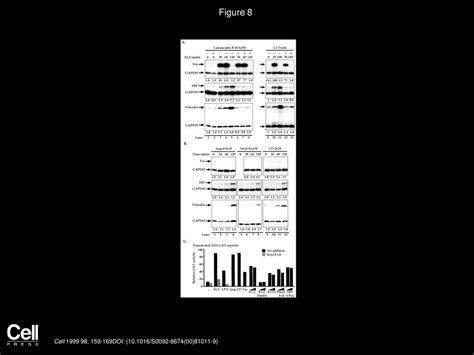 Volume 98 Issue 2 Pages July 1999 Ppt Download