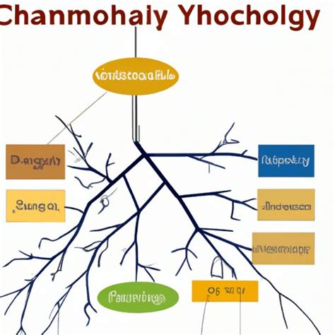 The Science Of Taxonomy Exploring The Basics And Benefits Of