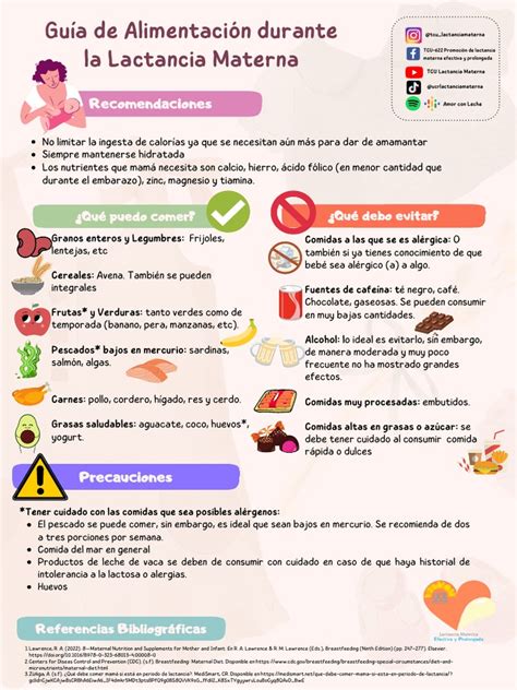 Guía De Alimentación Durante La Lactancia Materna Pdf
