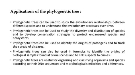 Molecular Phylogeny Molecular Clock Hypothesis Molecular Evolution