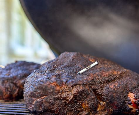 Thermoworks Rfx Wireless Meat Thermometer Review