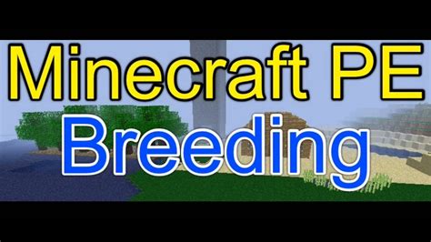 Minecraft Pocket Edition Breeding News Youtube