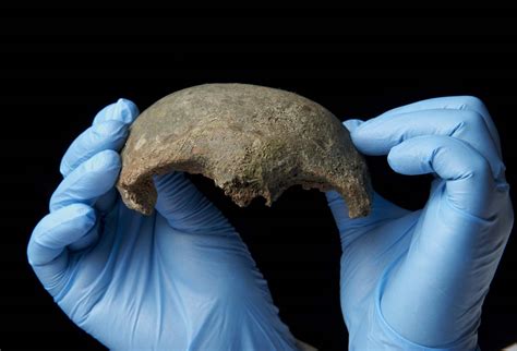 This London Skull Fragment Is The Oldest Ever Found In The Thames