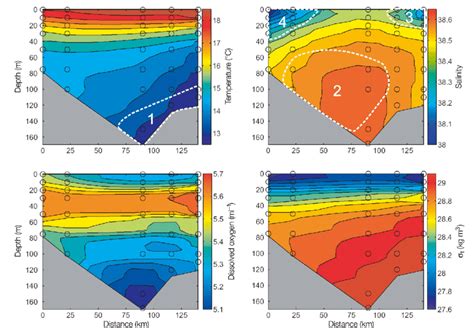 Temperature Salinity Dissolved Oxygen Content And Sigma Theta Fields