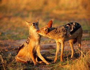 Why Is It Beneficial To Have A Stable Sex Partner Softpedia