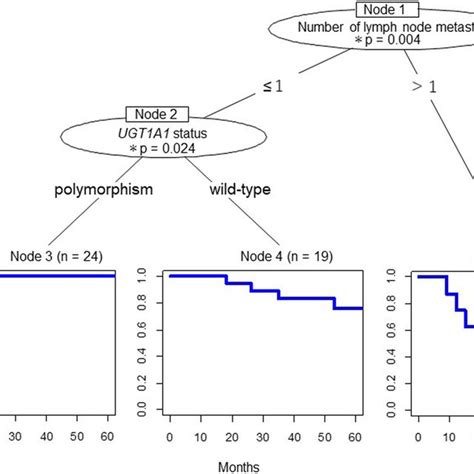 Tree Structured Survival Model More Than One Metastatic Lymph Node Was