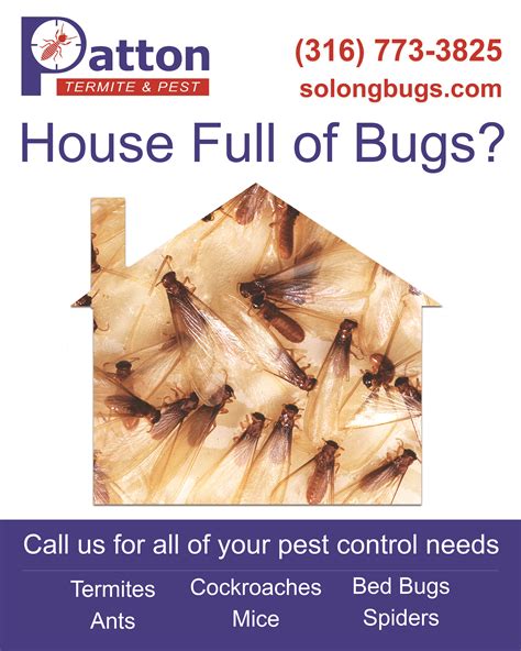 Licensed Pest Control Professional Pest Control