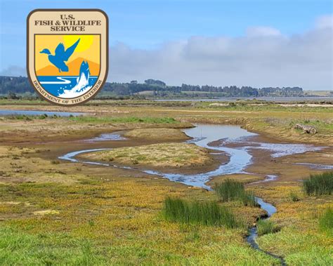 Usfws Statewide Restoration Programmatic Biological Opinion Pbo General Protection Measures