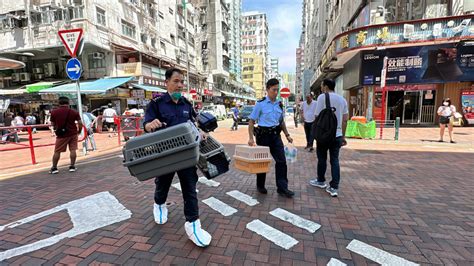 深水埗唐樓樓上滴水驚動街坊報警 消防破門揭「垃圾屋」逾10貓疑被虐 新冠疫情專頁