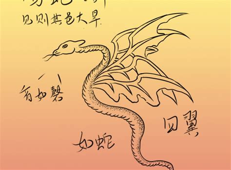一日一山海【鸣蛇】四翼蛇🐍温酒wen 站酷zcool