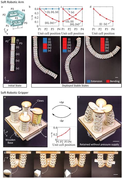 Soft Robotic Arm And Soft Robotic Gripper Retaining Programmable