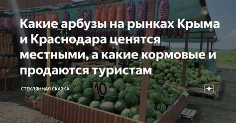 Какие арбузы на рынках Крыма и Краснодара ценятся местными а какие