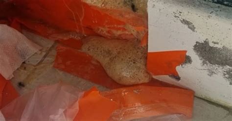 친절하고 자세하게 비가 새는 원인을 알려주셨고 공사도 꼼꼼하게 해주셨어요 고생하셨습니다 숨고 숨은고수