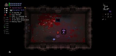 Weakest Chaos Enjoyer R Bindingofisaac
