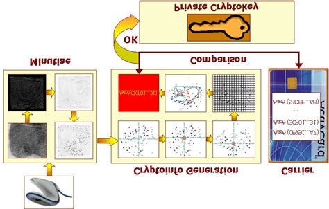Decryption Of Private Cryptographic Key Download Scientific Diagram