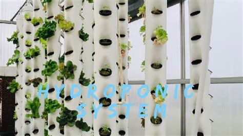 How To Build A Vertical Hydroponic System A Simple 4 Tower Diy