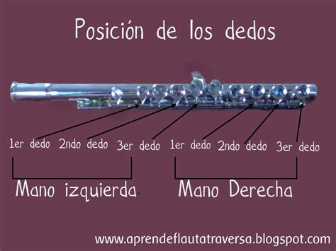 Flauta Traversa Partes Y Posición De Los Dedos En Flauta Traversa