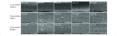 Sem Micrographs Of The Different Pla β Tcp Filaments Three Sections Download Scientific