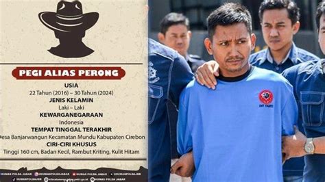 Mengapa Polda Jabar Baru Tangkap Pegi Usai Buron 8 Tahun Kompolnas