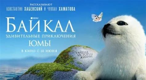 Байкал Удивительные приключения Юмы Смотреть онлайн в поиске Яндекса по Видео