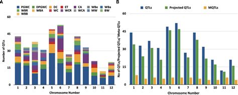 Frontiers Erratum Meta Qtl And Haplo Pheno Analysis Reveal Superior