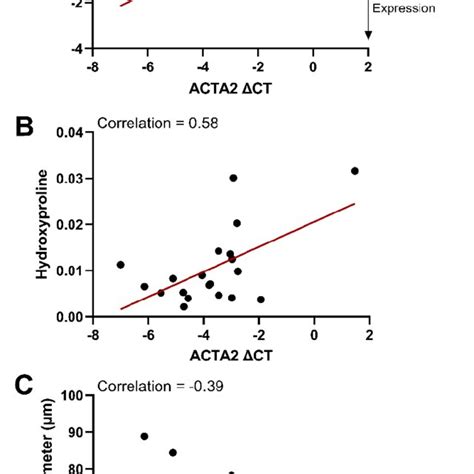 Increased Gene Expression Of Actin Alpha 2 Smooth Muscle Acta2 Gene Download Scientific
