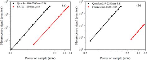 Characterization Of Multiphoton Excitation Properties Of Quantum Dots Download Scientific